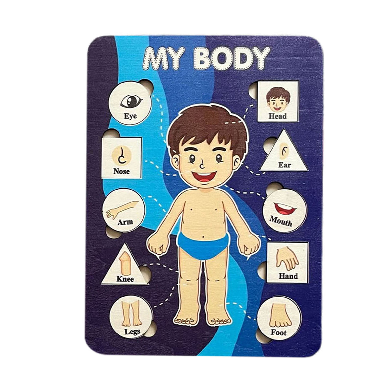 BAELLERT Kids Body Puzzle Matching Game Educational Human Body ...