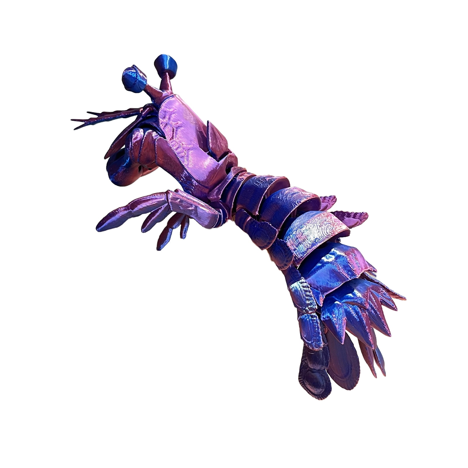BAELLERT Mantis Shrimp Fidget Toy for Anxiety Relief Colorful Desktop ...