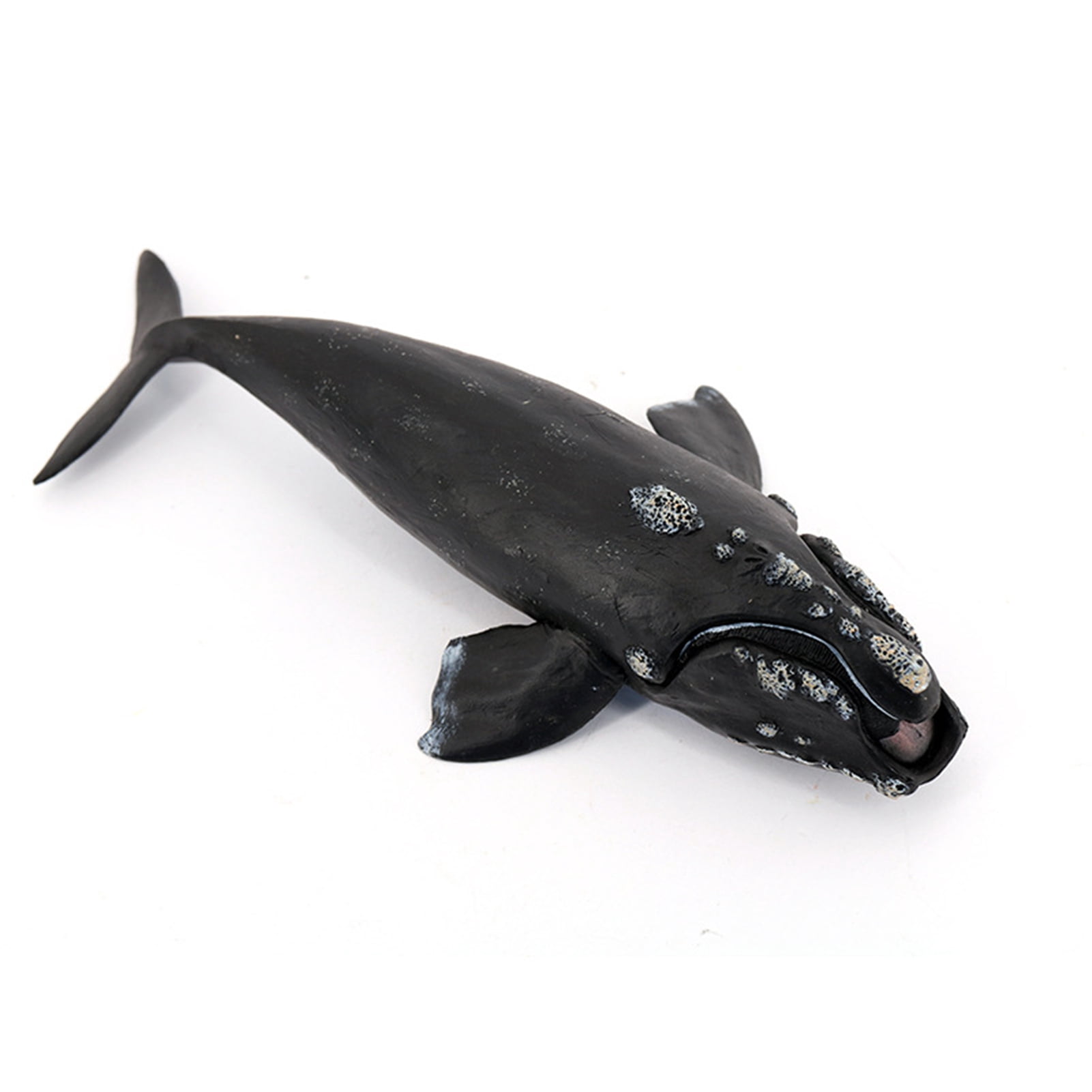 BAELLERT Right Whale Figurine Realistic Whale Model Sculpture Desktop ...