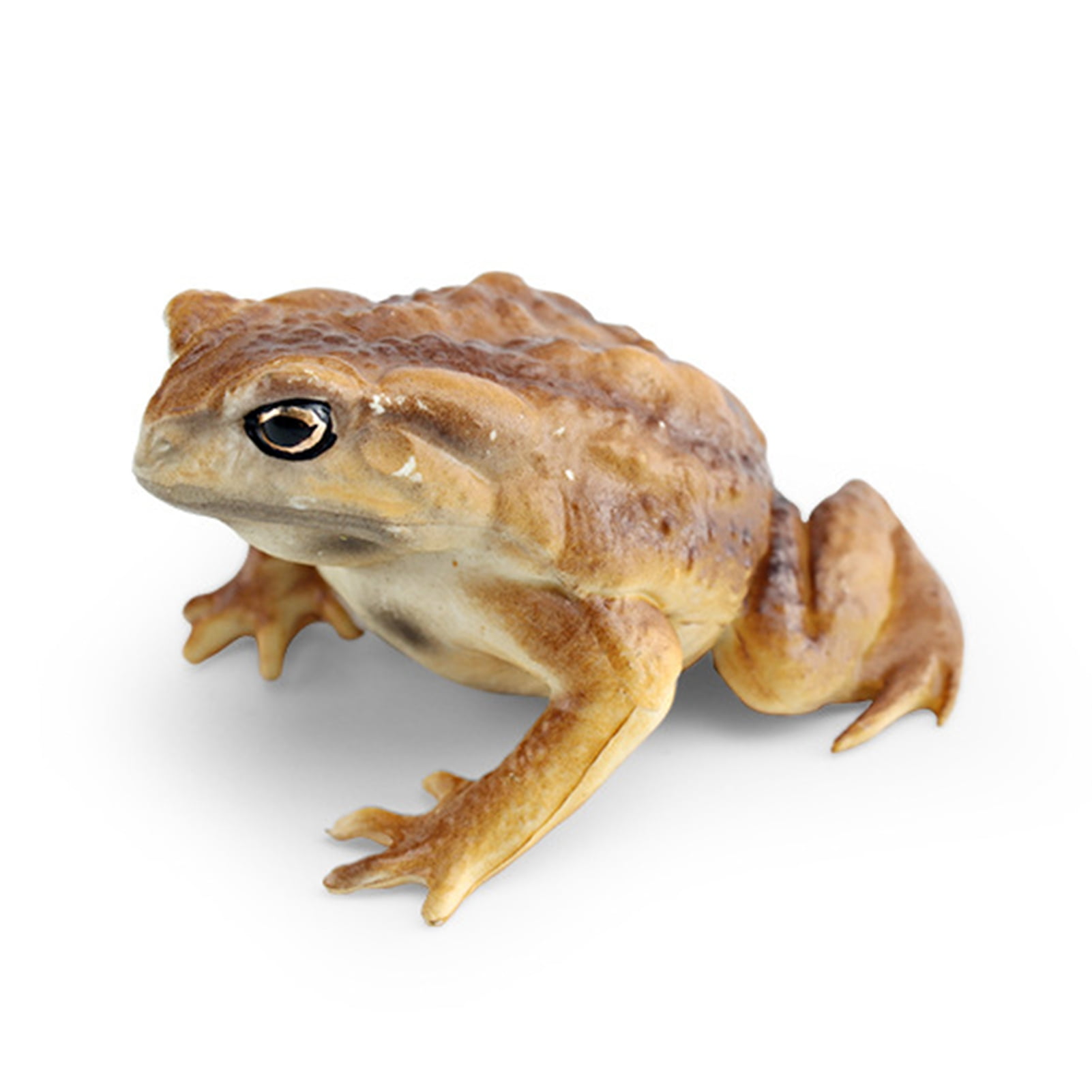 BAELLERT Tree Frog Figurine Realistic Toad Statue Sculpture Ornament ...