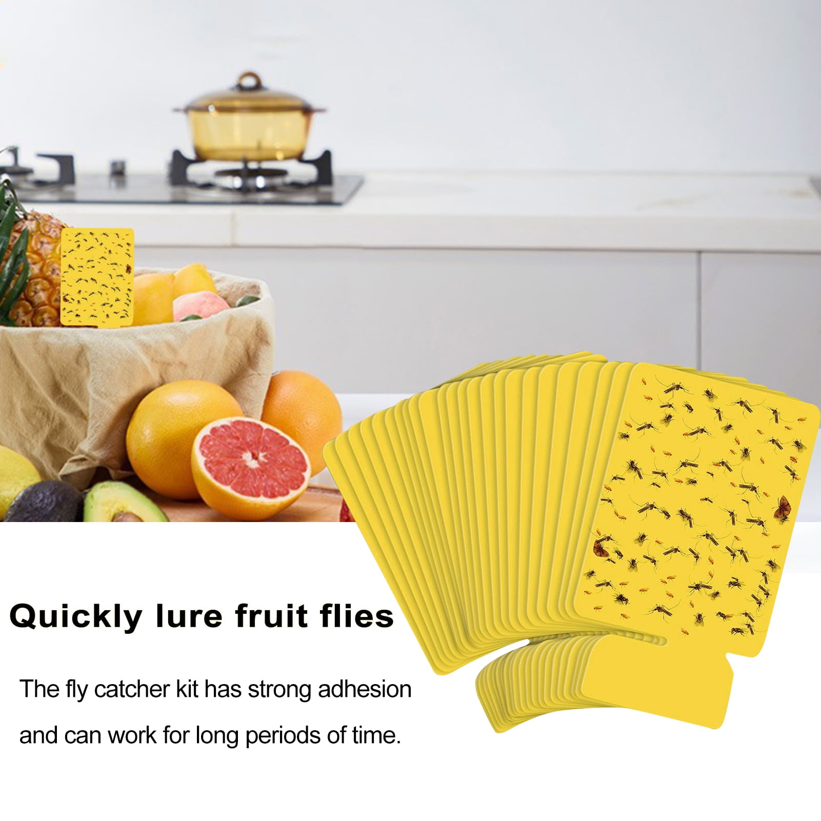 BAETEUY 24Pcs Mosquito Sticky Card Flying Insect Trap Refill Kit Indoor ...