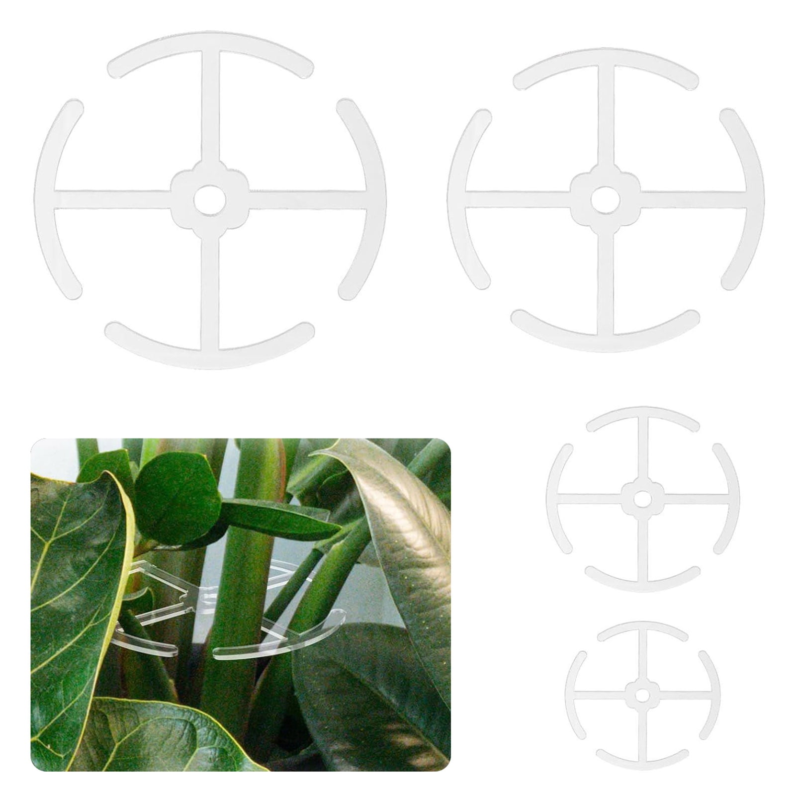 BAETEUY Plant Stem Holder Plastic Climbing Plants Stem Holders Hook ...