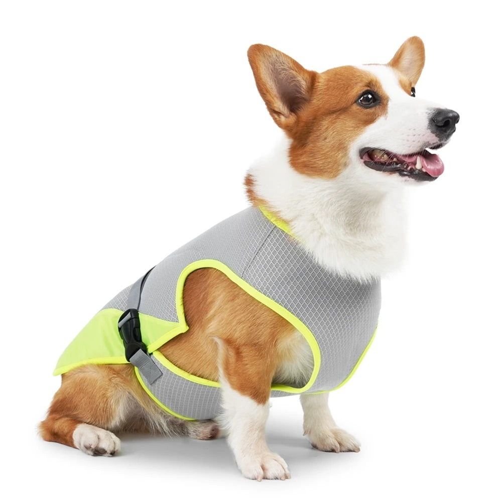 BAIANNAN Summer Cooling Dog Vest Breathable Mesh Clothes for Small ...