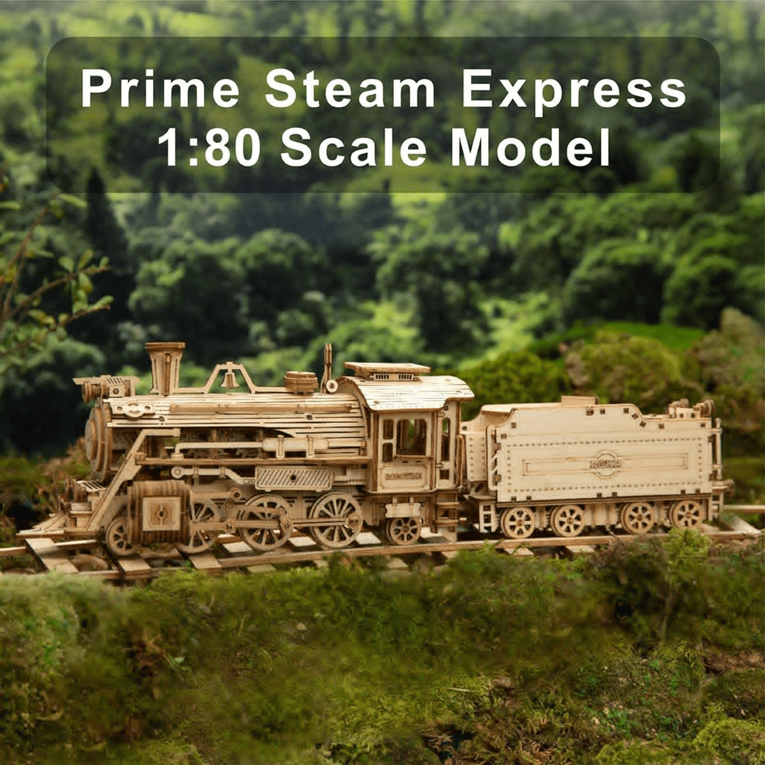BAIYISHUN 3D Adult Wooden Puzzle - Mechanical Train Model Kit ...