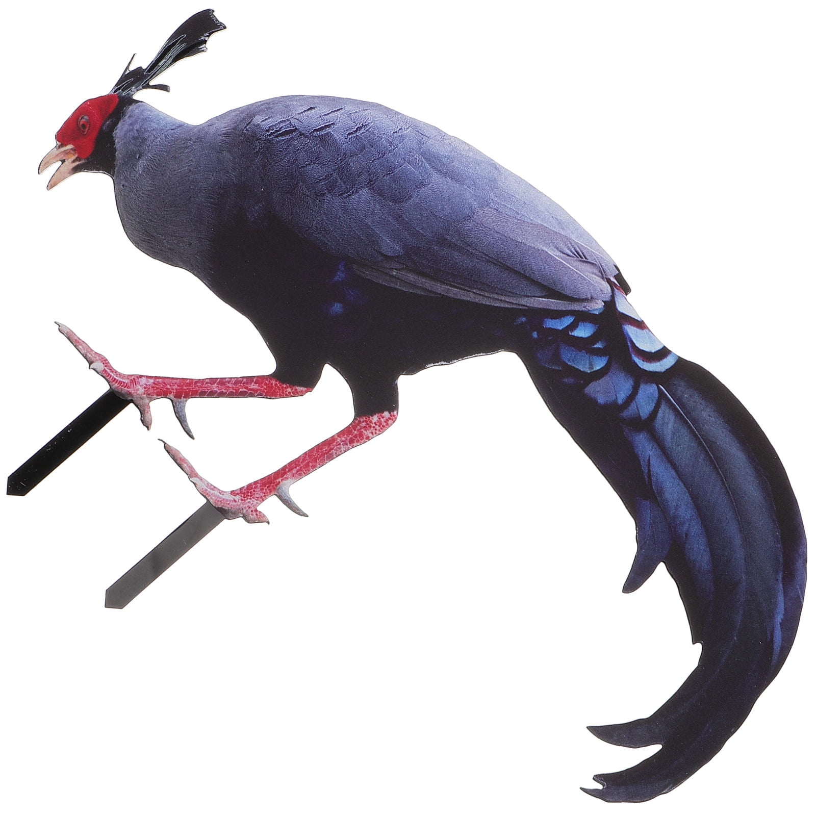 BALAHAPY 1Pack Farmhouse Style Acrylic Chicken Ground Insert for Garden Adornment and Outdoor ...