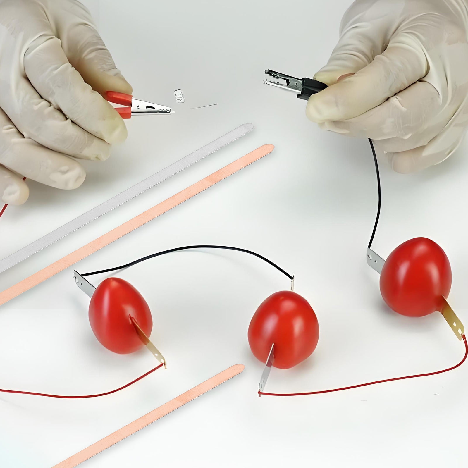 BALAHAPY Copper And Zinc Electrodes 20Pcs Diy Fruit For Electricity ...
