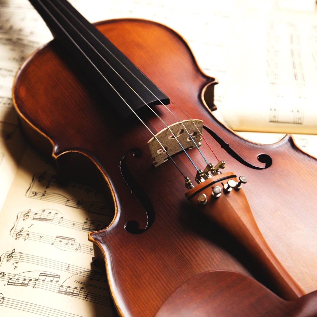 BALAHAPY Violin Strings 1Pack For Music Practice And Performance With Chrome Steel And Smooth ...