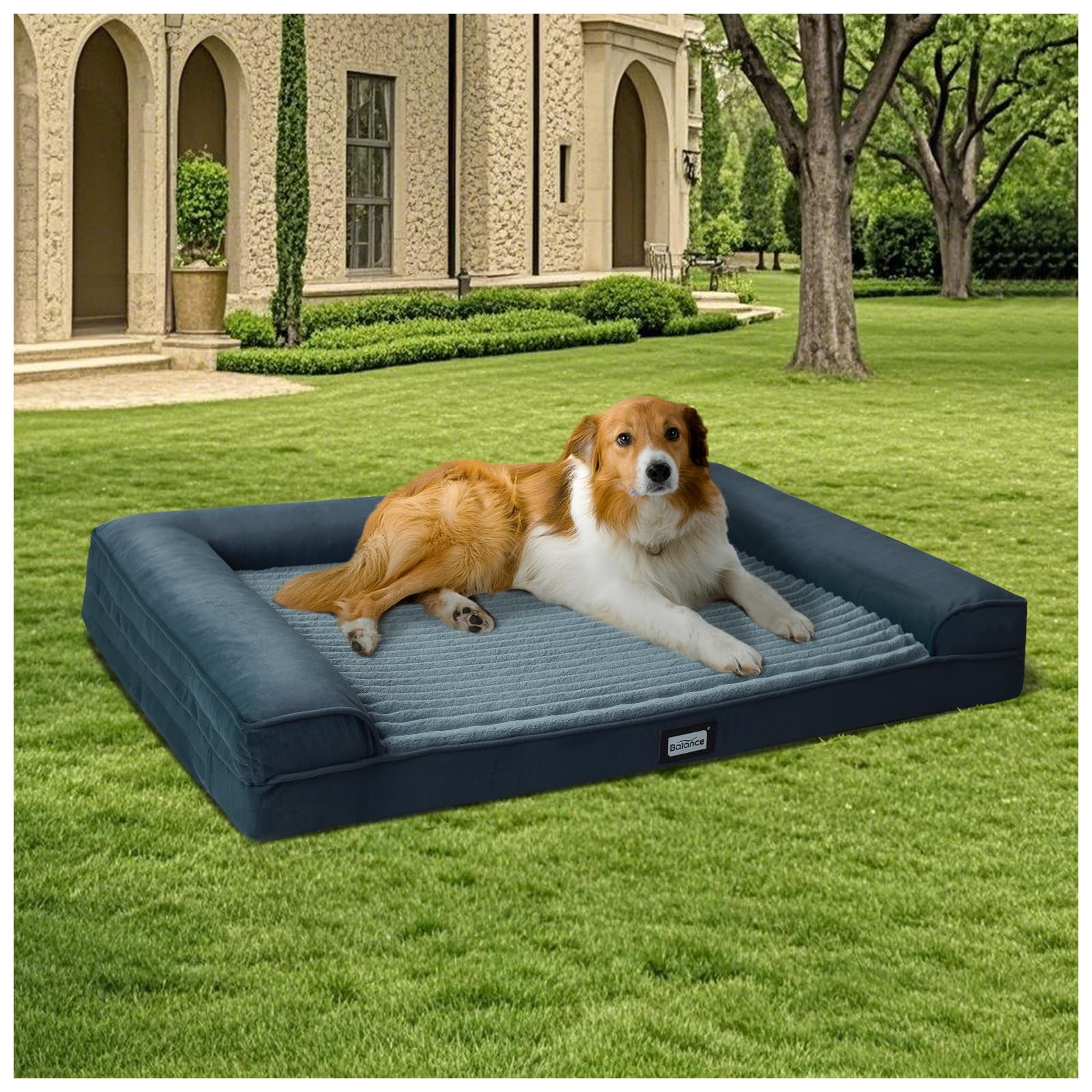 BALANCE Orthopedic Dog FEV6 Bed, Egg Crate Foam Dog Couch for Pet ...