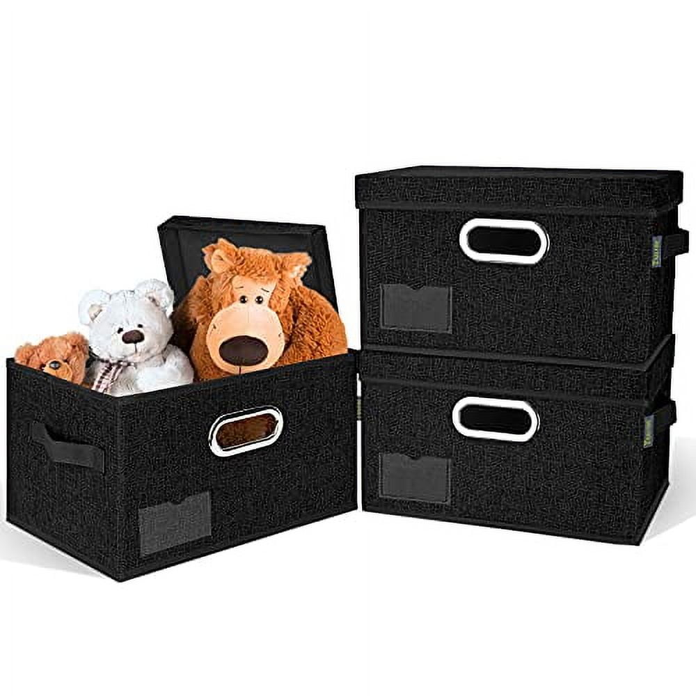 BALEINE Storage Bins with Lids (3 Pack Black Extra Large), Foldable ...