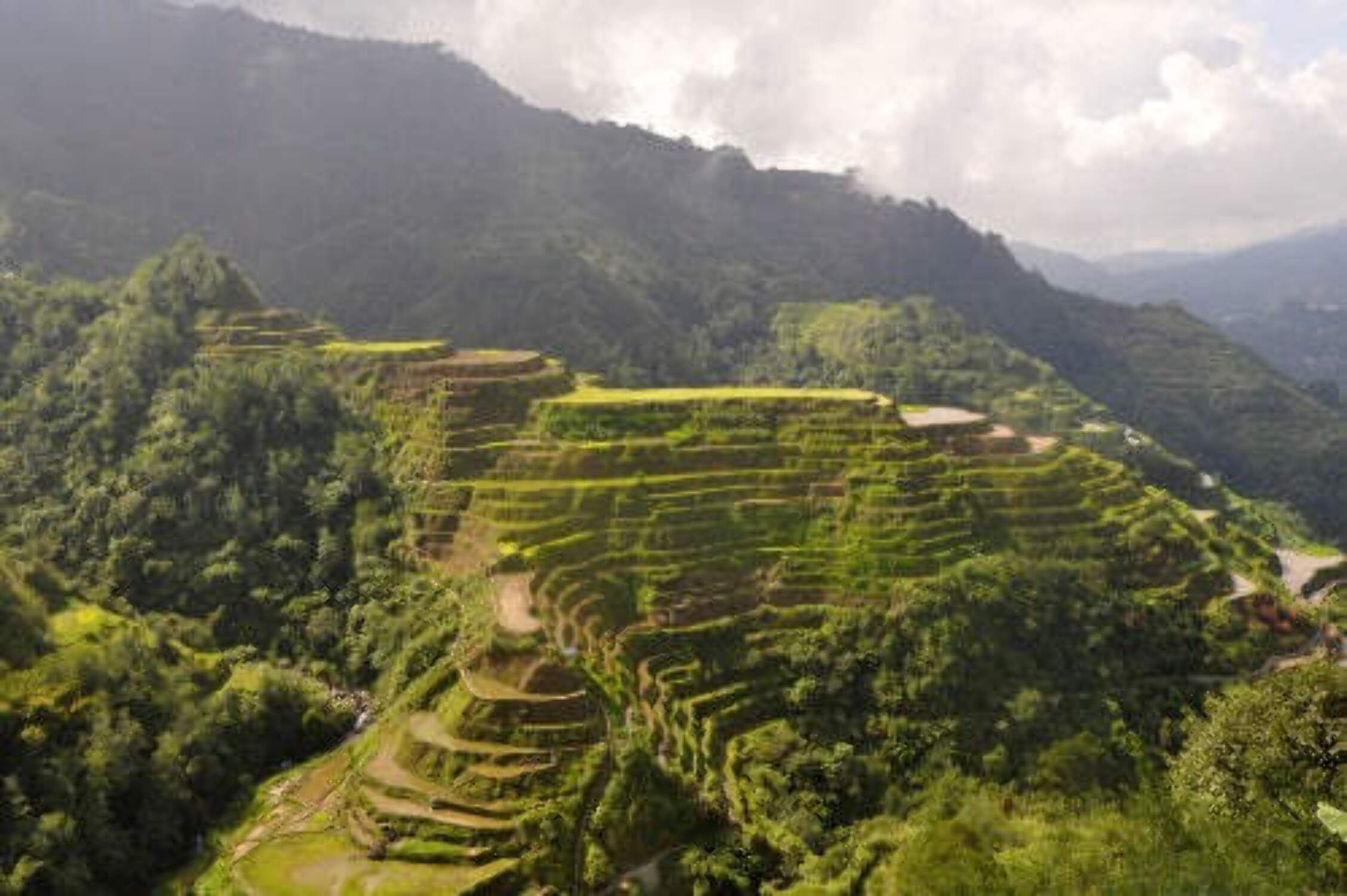 BANAUE RICE TERRACES GLOSSY POSTER PICTURE PHOTO payaw philippines ...