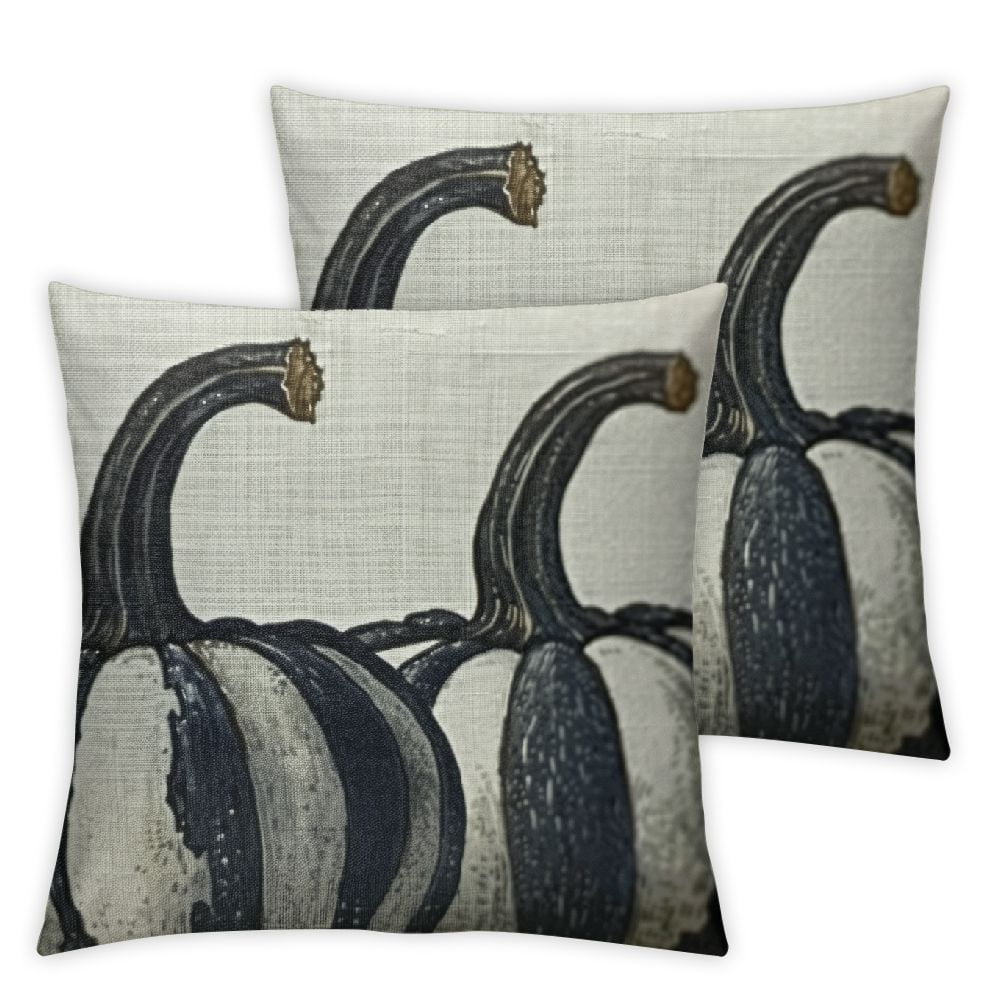 BANET Blue White Pumpkins Pillow Covers Fall Decorative Pillows Set of ...