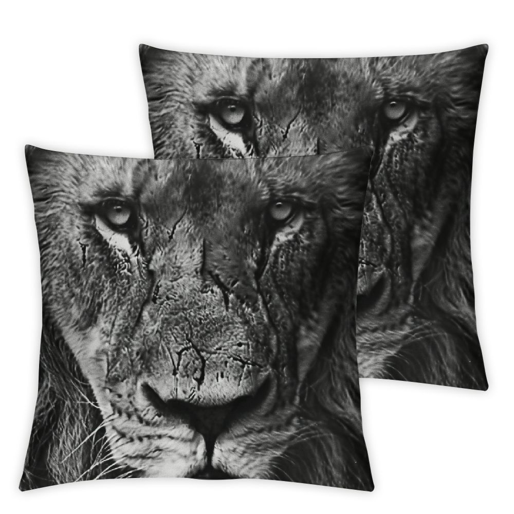 BANET Pillow Cases African Wild Lion Face Portrait Pack of 2,Decorative ...