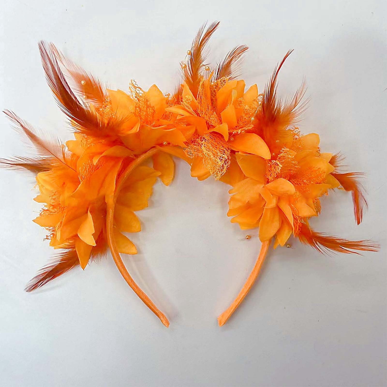 BAODANN Feather Headband For Parties Festivals Stage Performances And ...