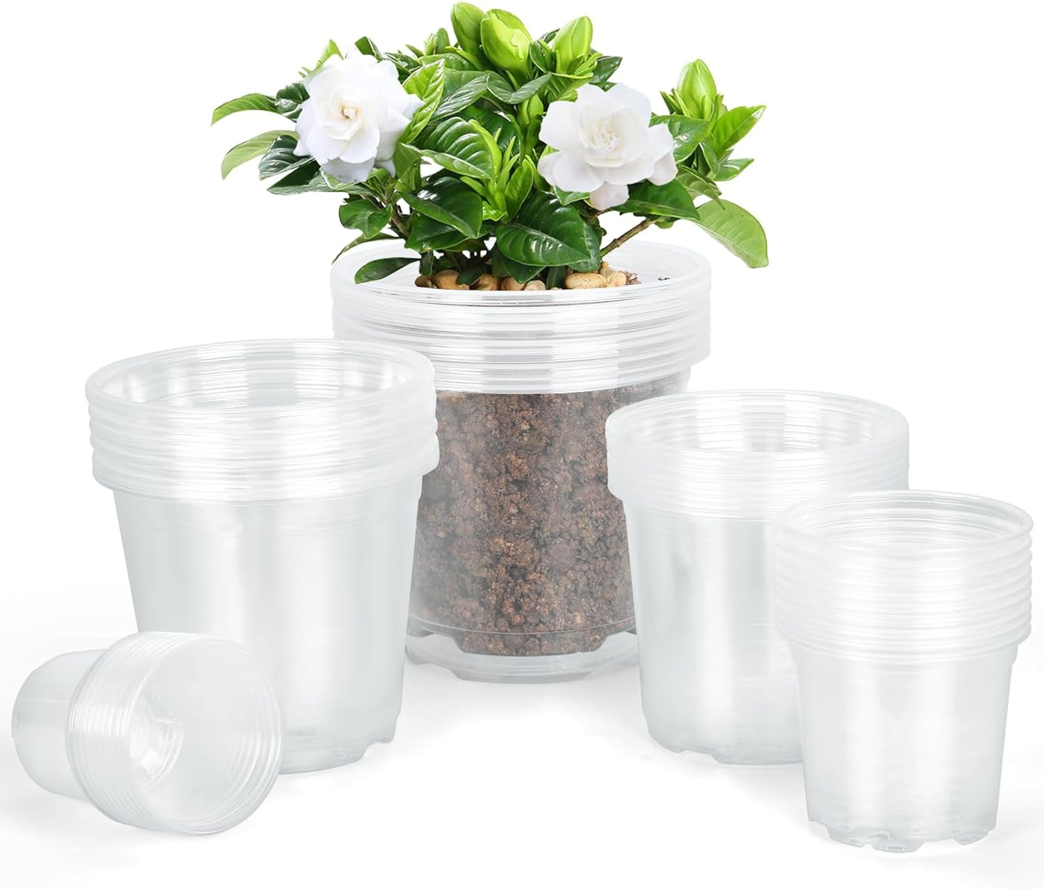BAODELI Clear Nursery Pots, 45-Pack Transparent Plastic Plant Pots with ...