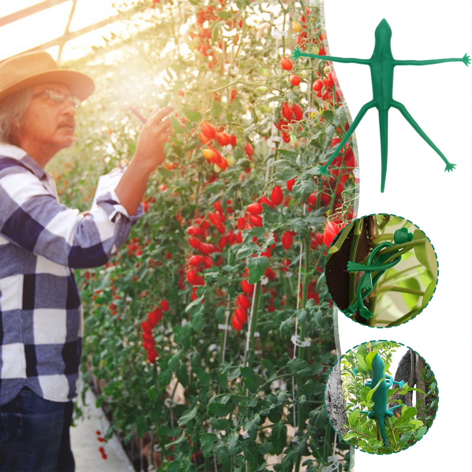 BAOPAI Gardening Aid Cartoon Ties with Lizard and Frog Designs for Tree ...