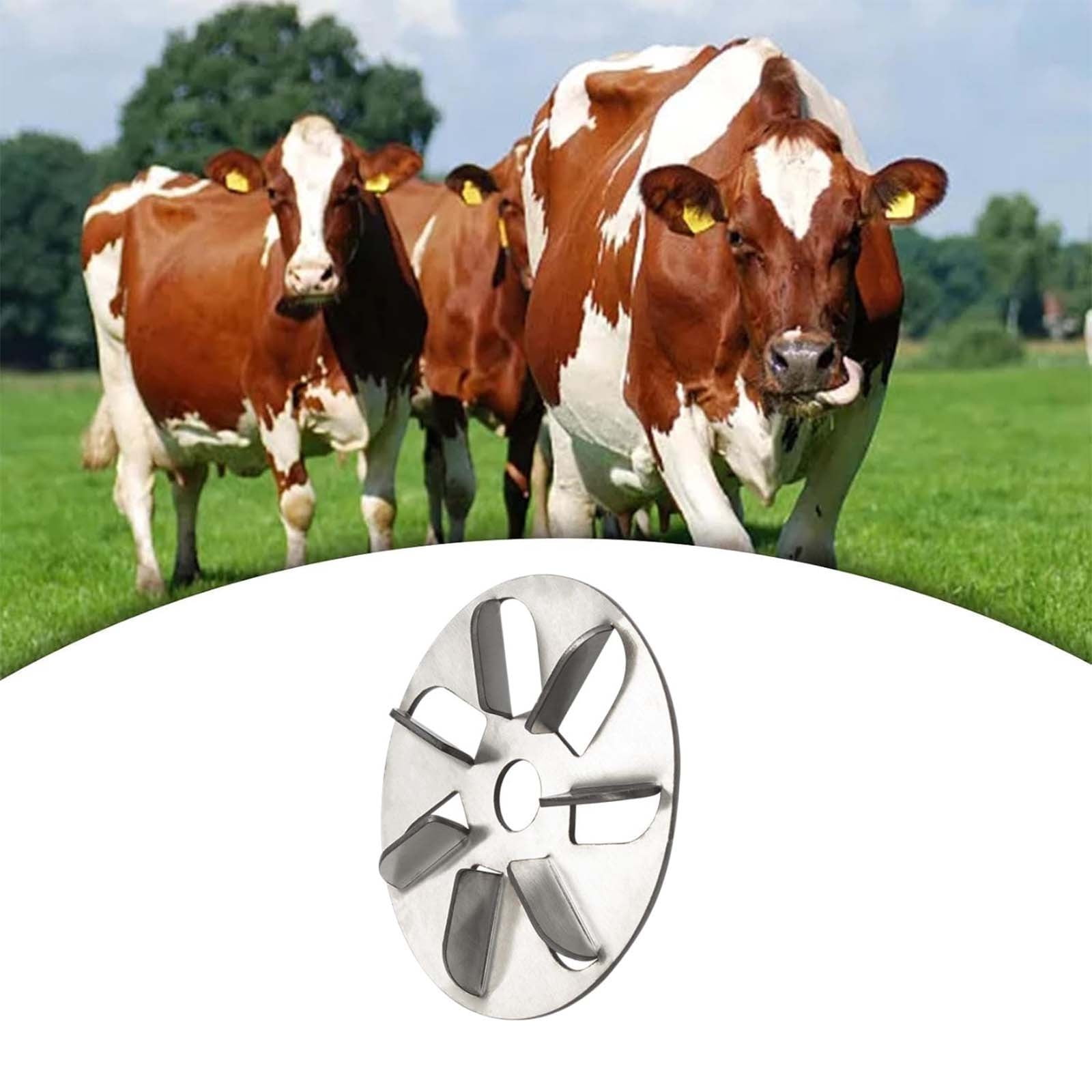 BAOPAI Hair Scrapers Pigs Hair Remover Labor Saving Hair Removing Disc ...