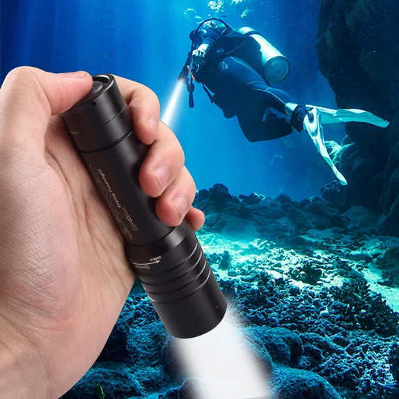 BAOPAI Portable Zoom Underwater Flashlight IPX8 Waterproof Telescopic ...