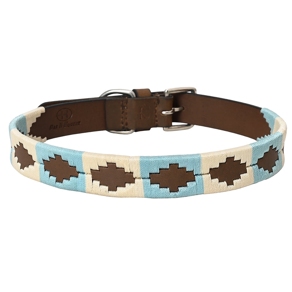 BAR H EQUINE Western Genuine Leather Dog Collar Embroidered Beige ...