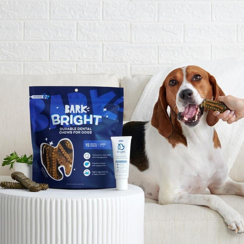 BARK Bright Durable Dental Kit with Toothpaste- Fresh breath and clean ...