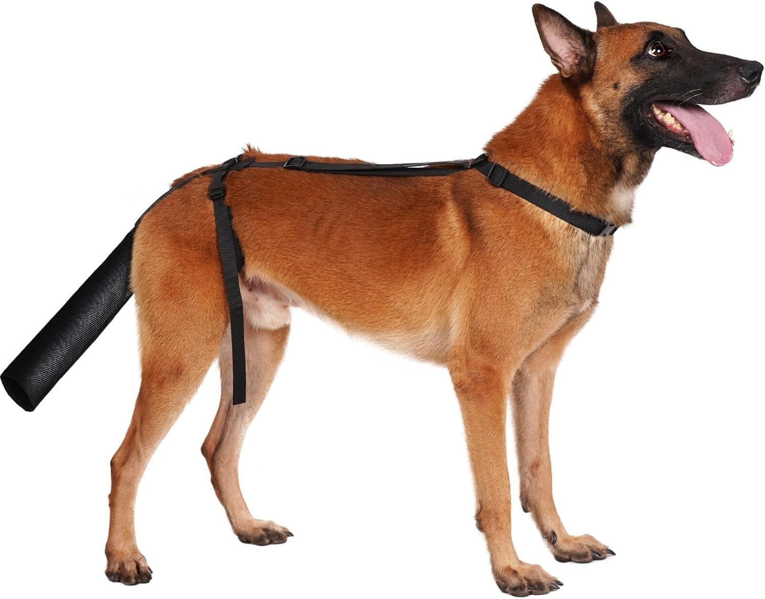 BARKLESS Dog Tail Protector, Dog Tail Guard for Medium Large Dogs ...