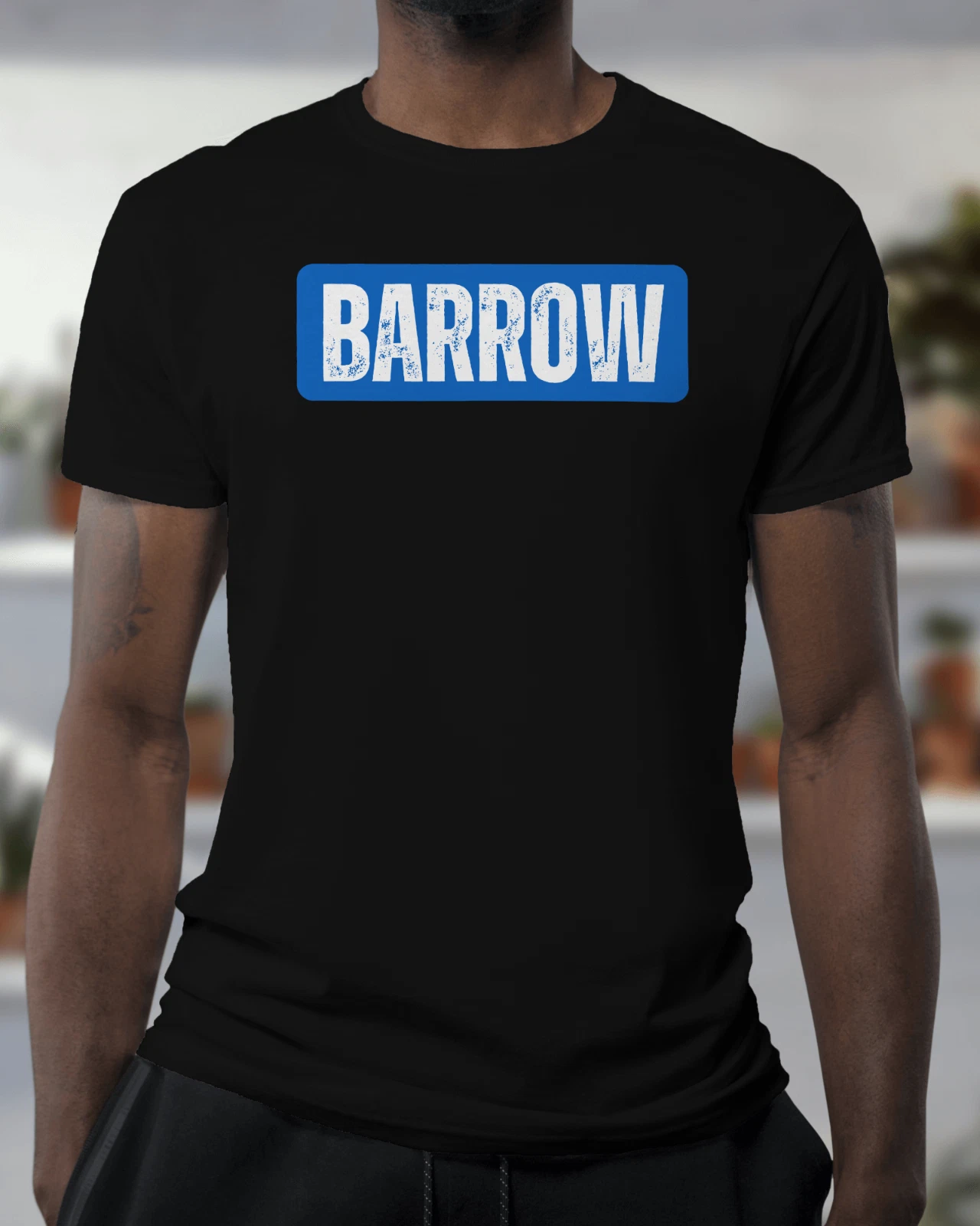 BARROW T-Shirt | Bluebirds Ziggers | Holker Street Cumbria - Walmart.com