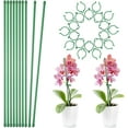 BASTHAN 24-Inch Orchid Garden Stake Fiberglass Plant Support Stick with ...
