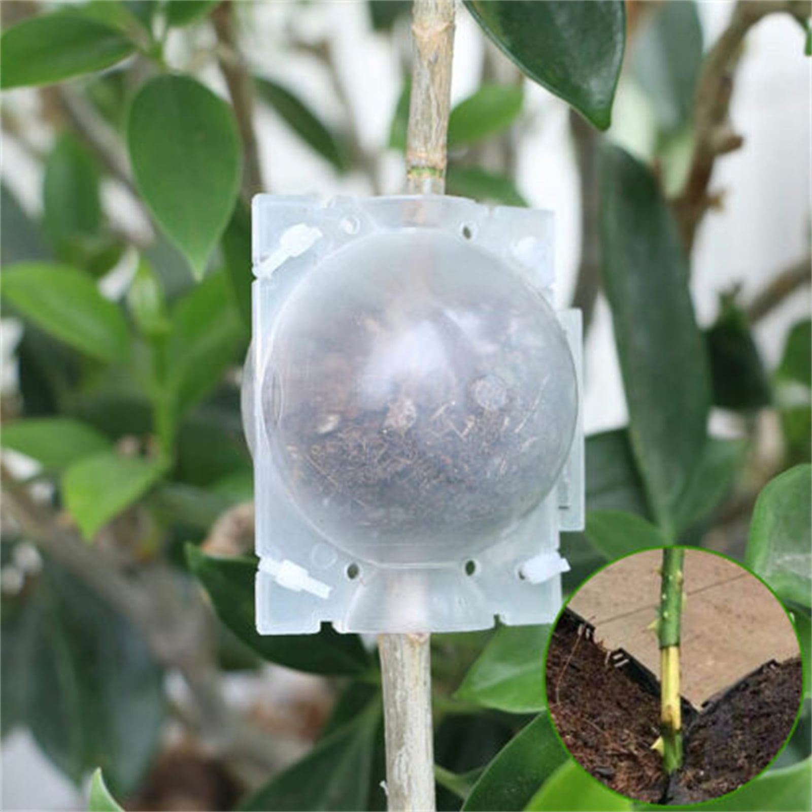 BAYUELSWU Air Layering Pod, Transparent Propagation Ball, Fast ...