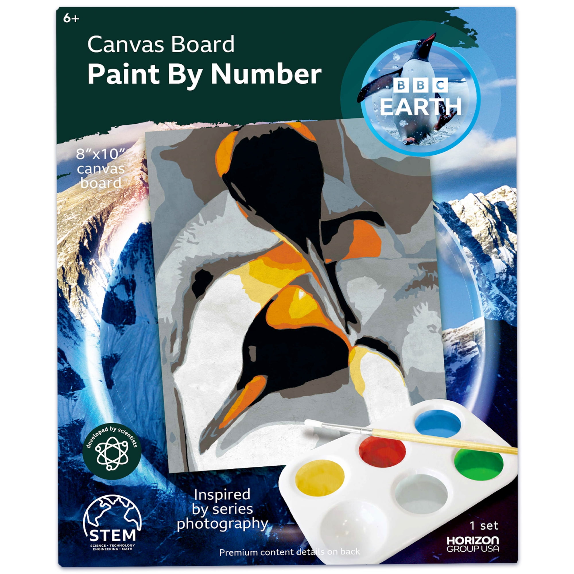 BBC Earth Canvas Board Paint by Numbers, Penguin - Walmart.com