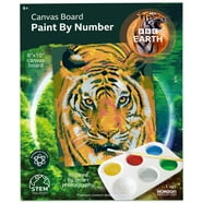 ArtSkills Majestic Butterfly Paint by Number Art Kit for Adults, 20" x ...
