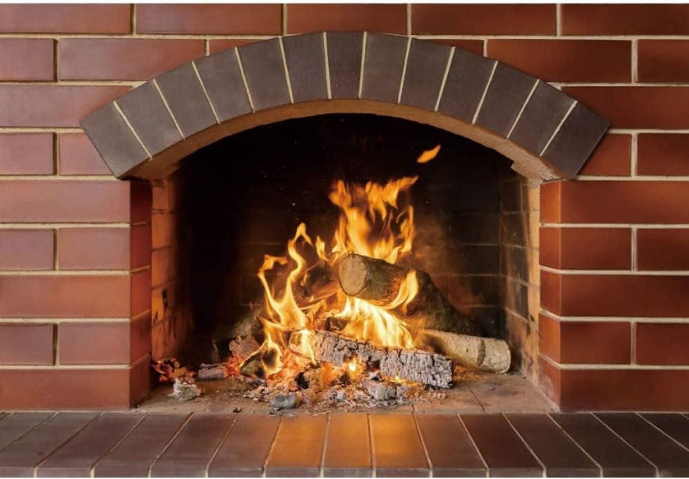 BBQ Backdrop Brown Wooden Board String Lights Lace Barbecue The Wild ...