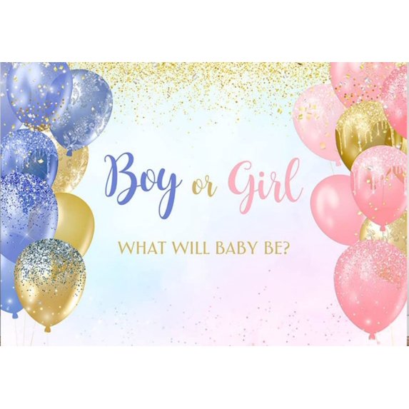 BBQ Gender Reveal Backdrop He or She Boy or Girl Baby Shower Birthday ...