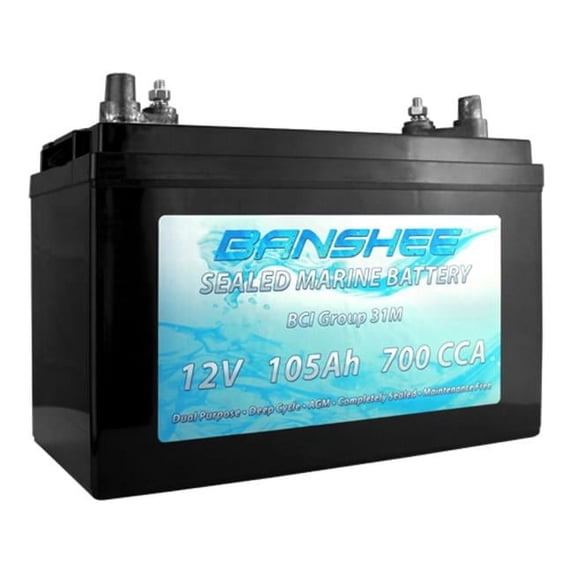 BCI No. 31 Marine Starting & Deep Cycle Dual Terminal Sealed AGM ...