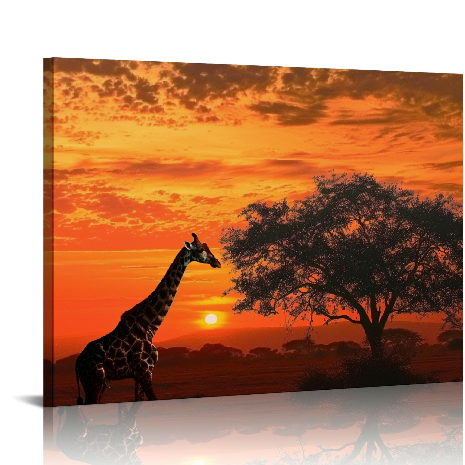 BCIIG African Giraffe At Sunset Serengeti National Park Tanzania Africa ...