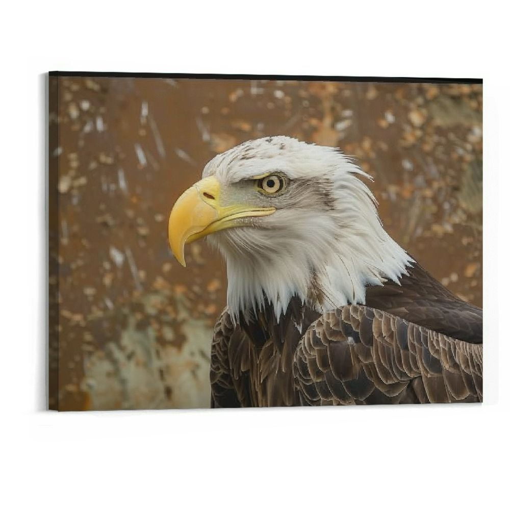 BCIIG Bald Eagle Pictures Wall Decoration Canvas Prints Bald Eagle Wall ...