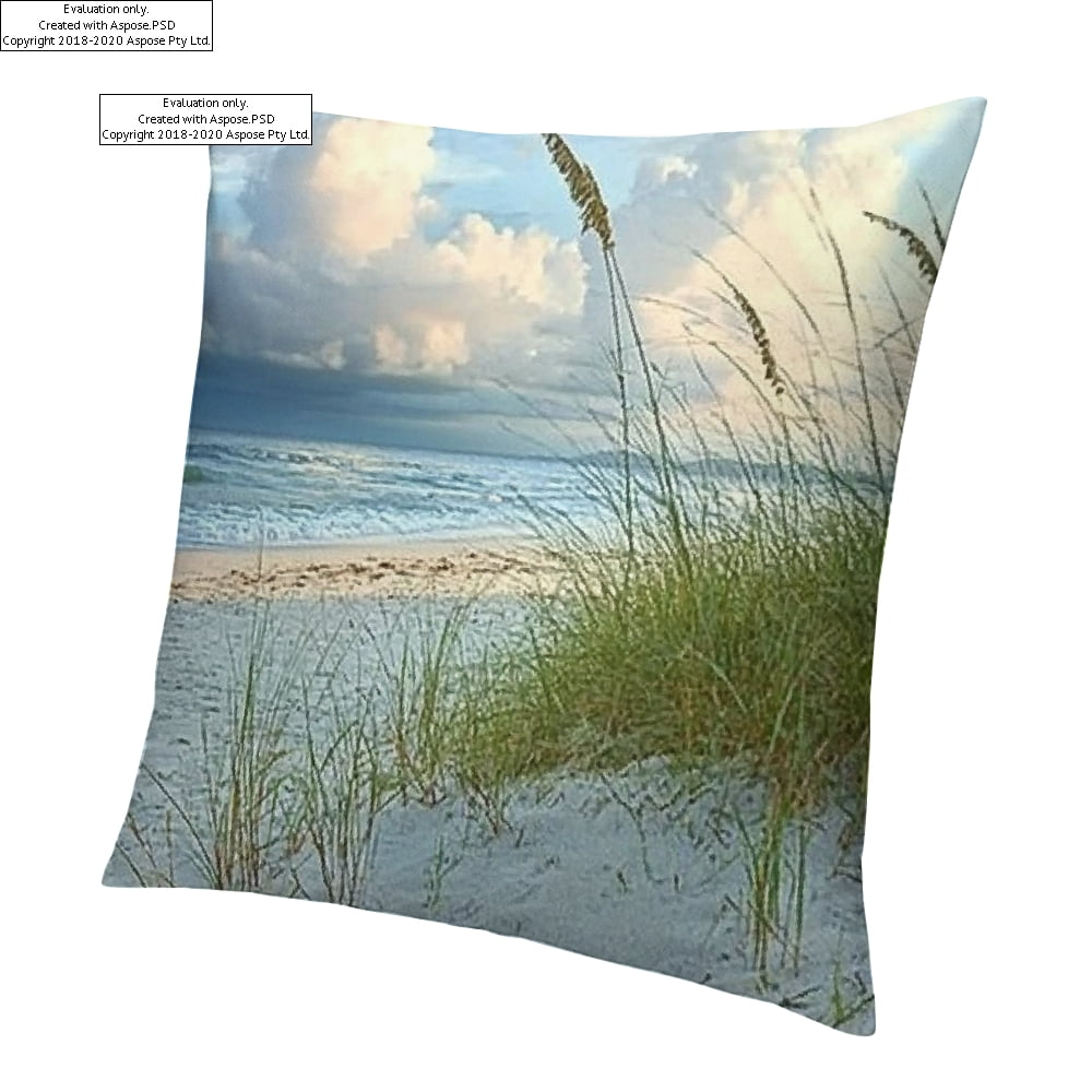 BCIIG Beach Grass Clouds Pillowcase Home Furnishing Short Plush ...