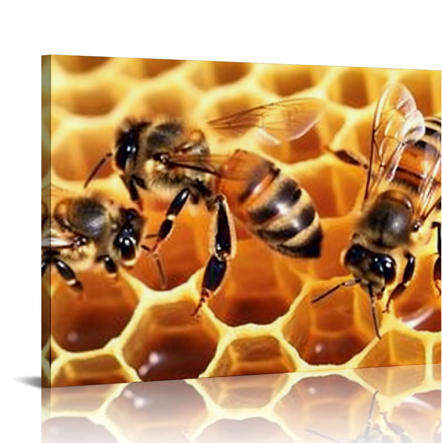 BCIIG Bees Honeycomb Wall Decor for Bedroom and Kitchen Fashion Style ...