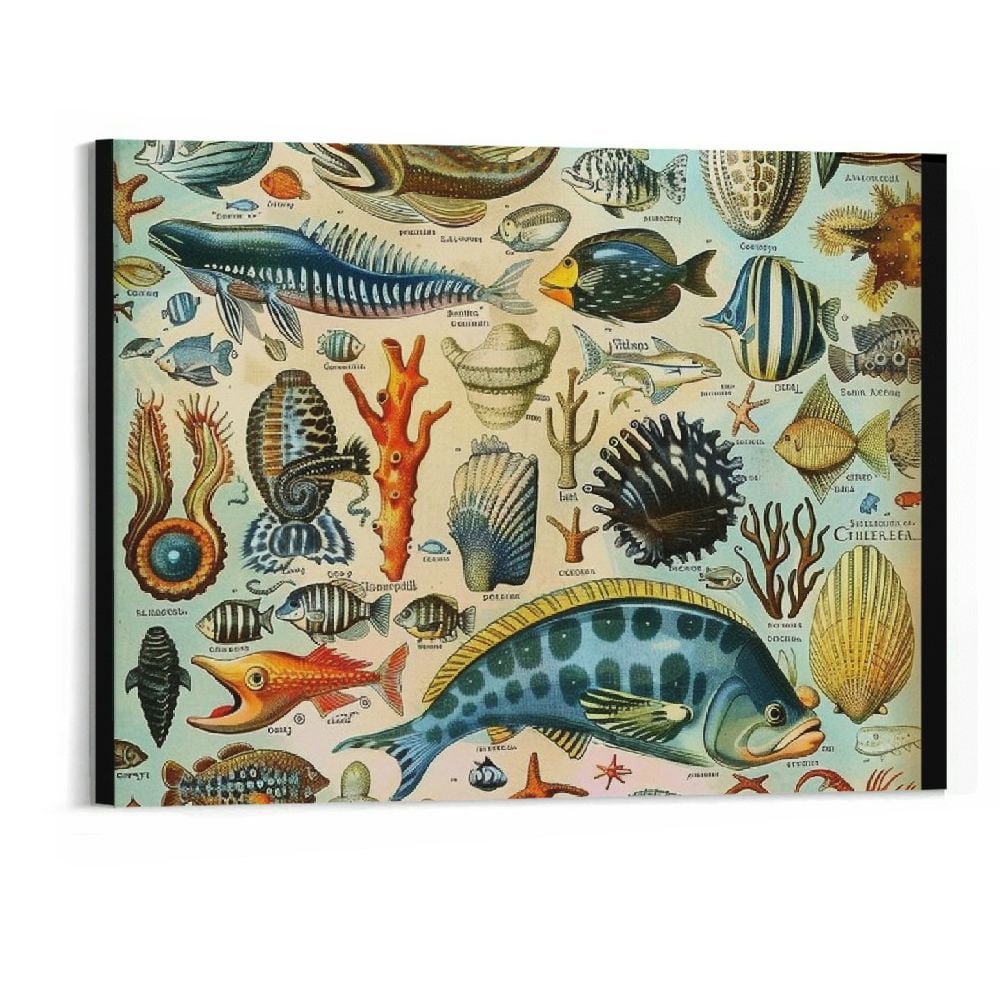BCIIG Canvas Wall Picture Mollusks Species Print Vintage Style Marine ...