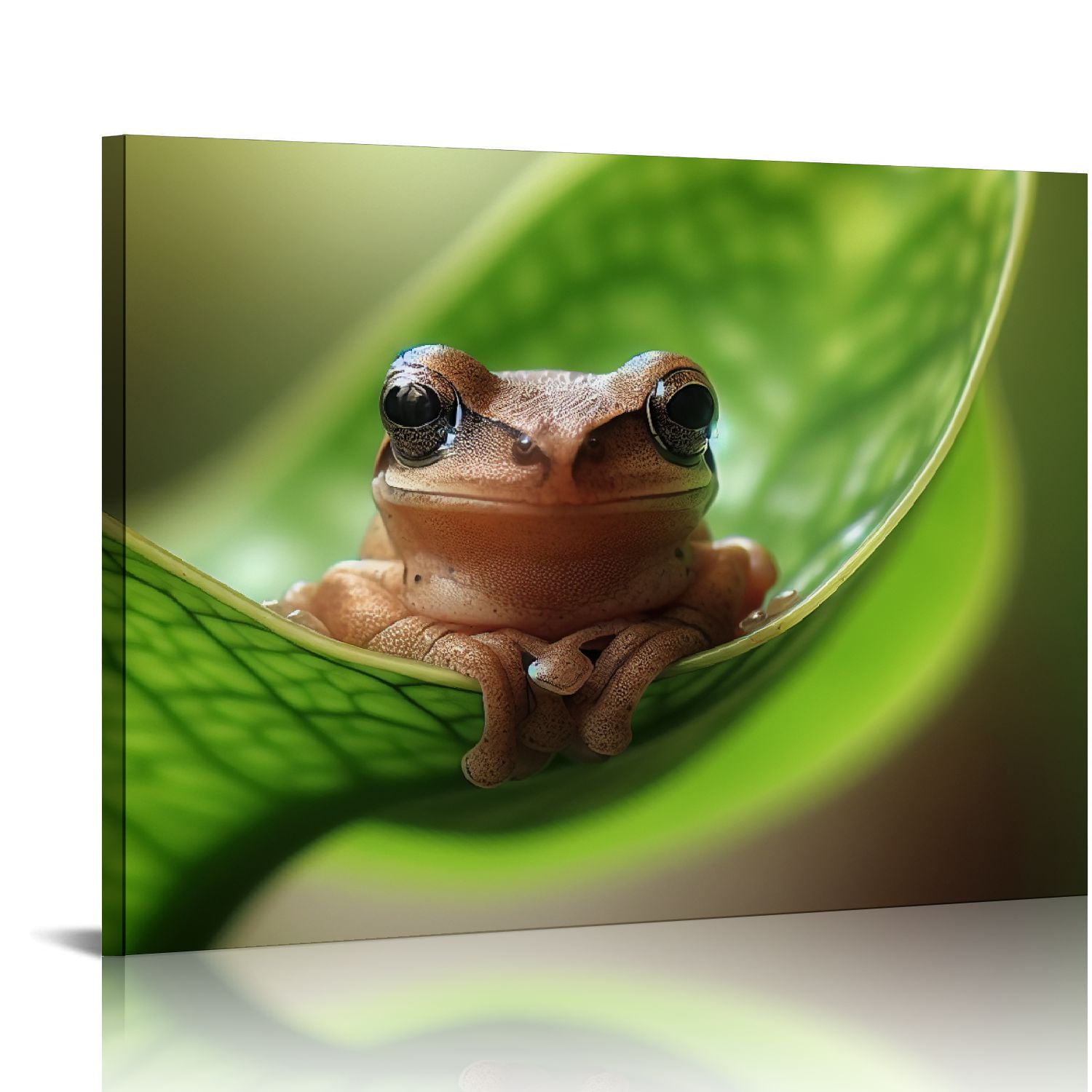 BCIIG Canvas wall art deco small koki frog a leaf hawaiian print ...