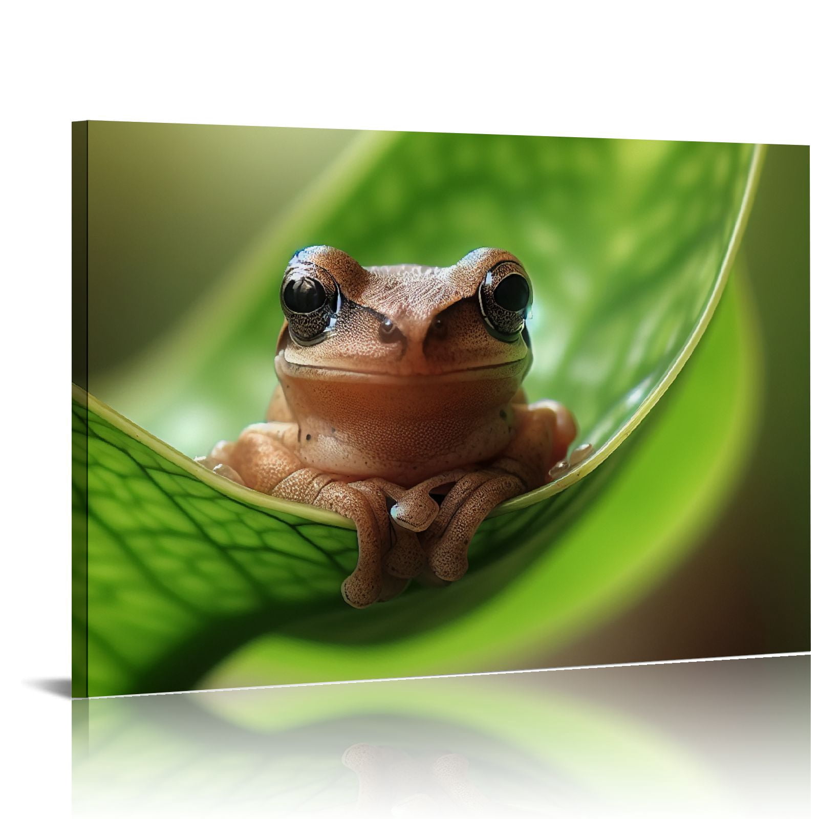BCIIG Canvas wall art deco small koki frog a leaf hawaiian print ...