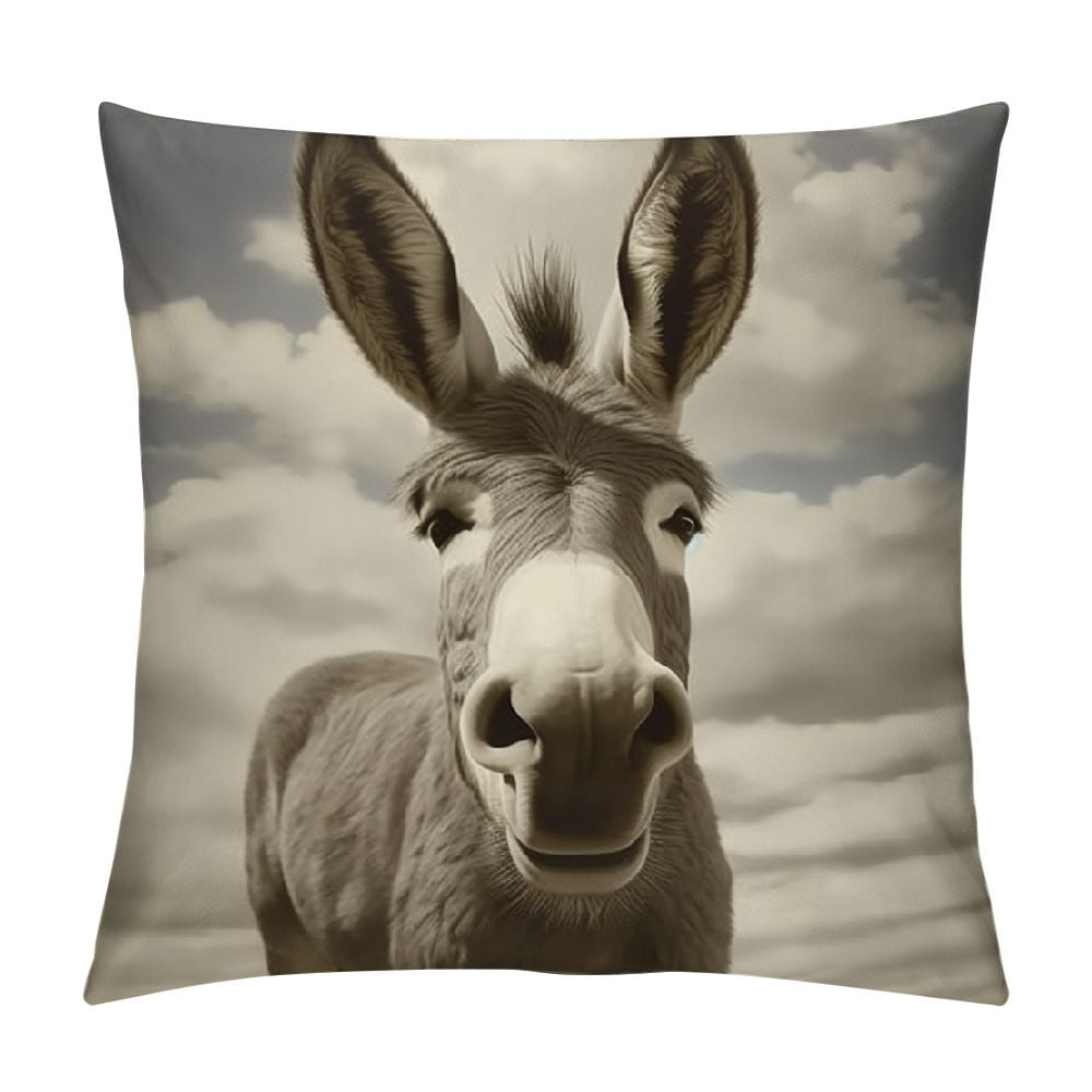 BCIIG Donkey Graphic Decorative Pillow Cover for Home Couch Living Room ...