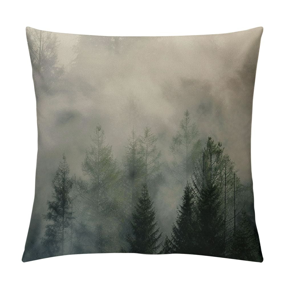 BCIIG Fog Graphic Decorative Throw Pillow Cover for Home Couch Living ...