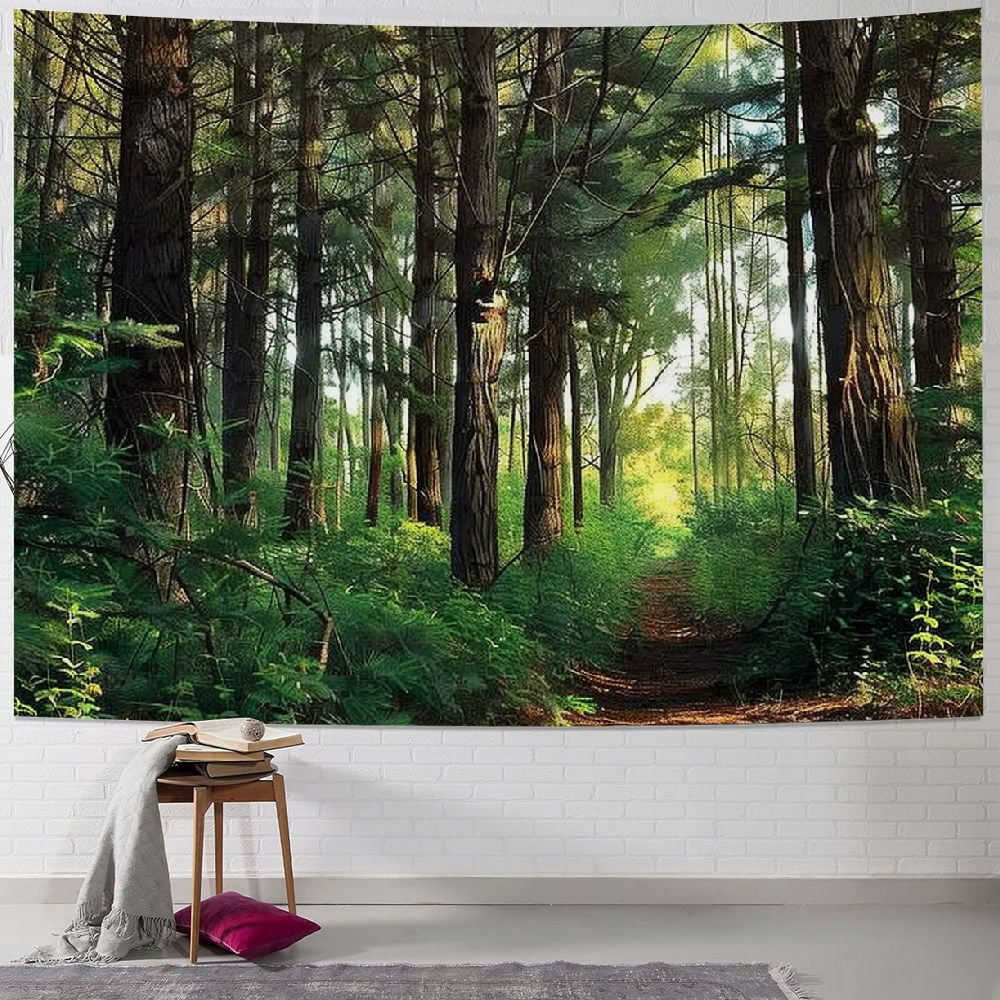 BCIIG Forest Tapestry, Pathway in a Shady Forest of Bushes and Thick ...