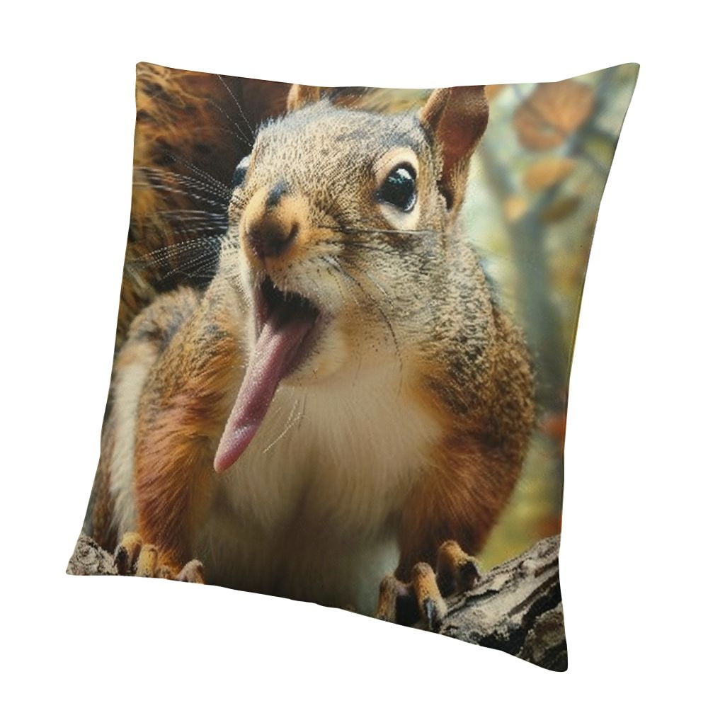 BCIIG Funny Squirrel Pillow Covers Modern Sofa Throw Pillow Cover ...