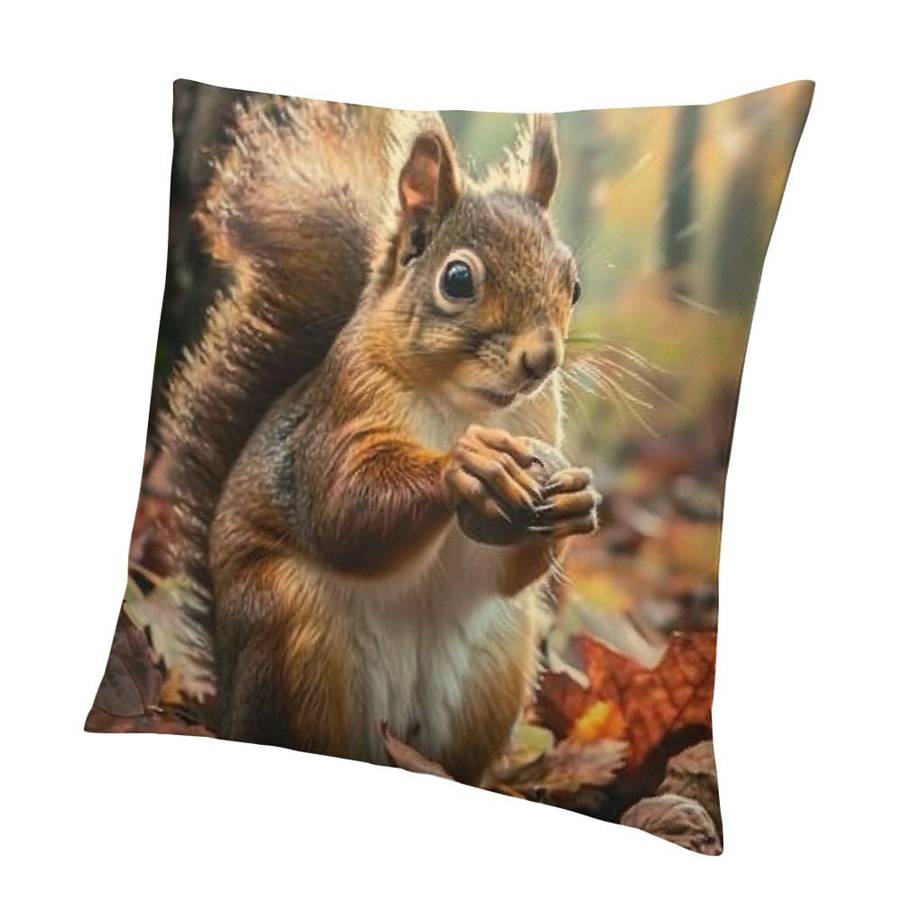 BCIIG Funny Squirrels Throw Pillow Case Soft Cushion Covers Square Decorative Pillowcases for ...