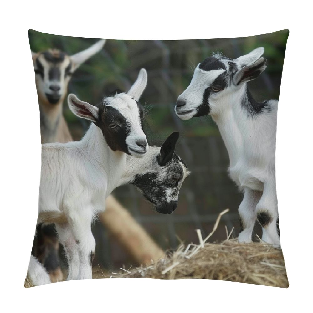 BCIIG Goats Playing Graphic Decorative Cushion Cover for Home Sofa Car ...