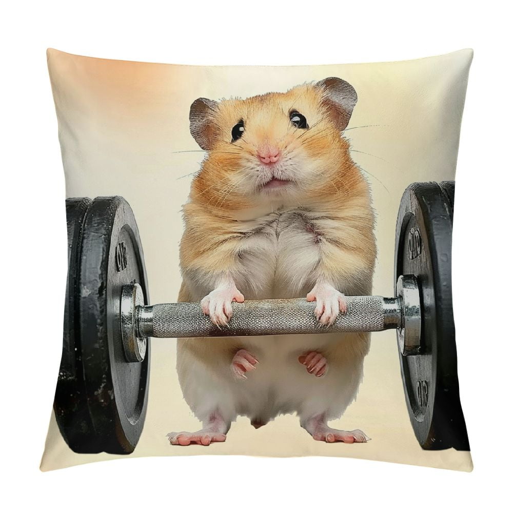 BCIIG Hamster Graphic Decorative Throw Pillow Cover for Home Couch ...