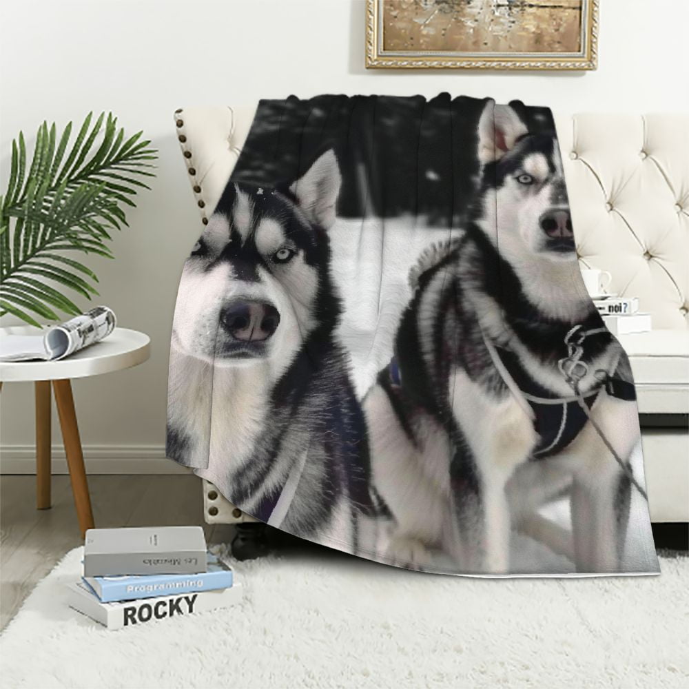 BCIIG Husky Dogs Snow Warm Lightweight Blanket Soft Fleece Blankets for ...