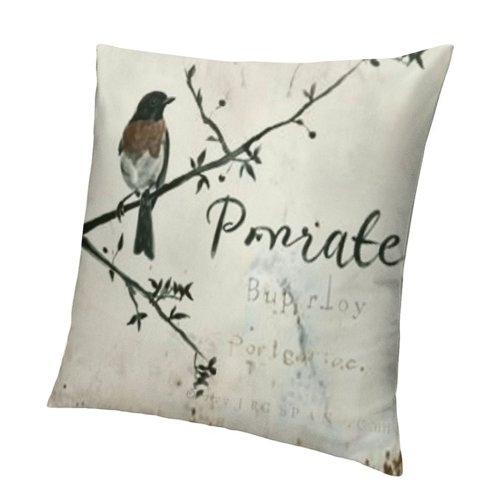 BCIIG Inspirational Bird Pillow Covers Farmhouse Spring Summer Blue ...