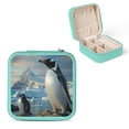 BCIIG Mini Jewelry Box Travel Organizer for Necklaces Rings Earrings ...