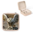BCIIG Owl Wings Rock Travel Jewelry Box for Necklaces Rings Earrings ...